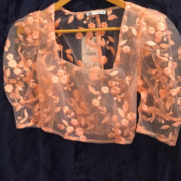 Zara | Tops | Pretty Blush Pink Sheer Top By Zara | Poshmark